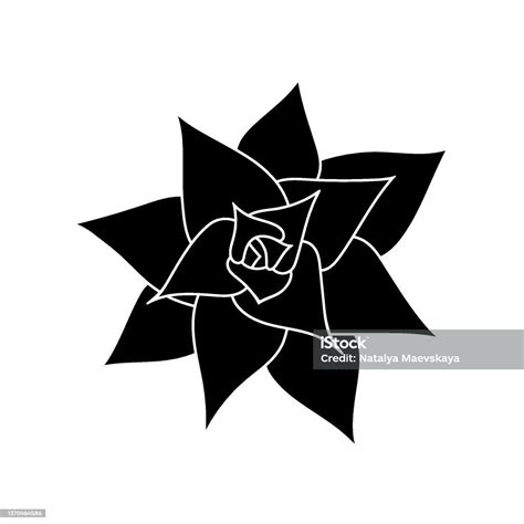 심플한 스타일 벡터 일러스트레이션의 즙이 많은 에크베리아 인쇄 및 디자인에 대한 사막 꽃 실루엣 멕시코 식물 흰색 배경에 그래픽 고립 요소 장식 인테리어를위한 하우스 플랜트