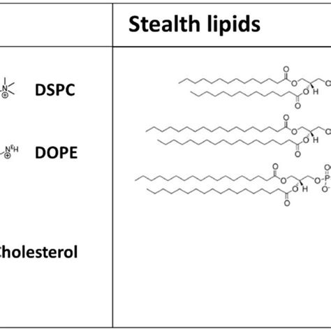 Chemical Structure Of The Most Common Ionizable Lipids And Lipidoids