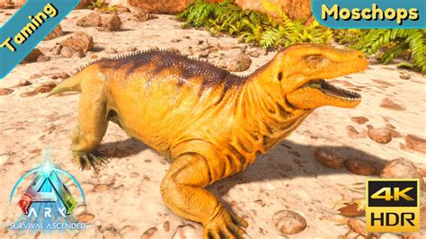 Ark Survival Ascended Tame A Moschops Youtube