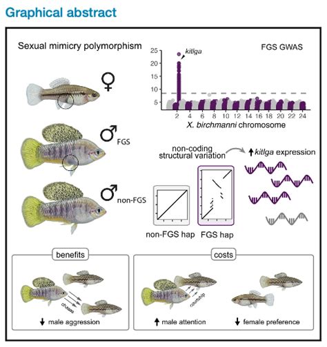 Current Biology Paper On The Genomic And Behavioral Basis Of A Sexual