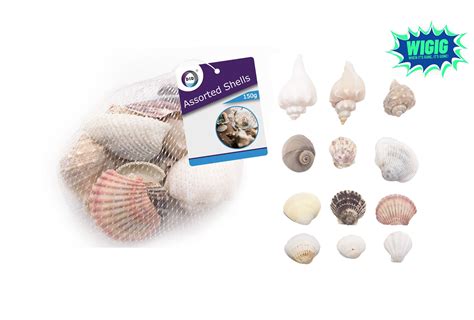 150g Assorted Shells 150g Assorted Shells
