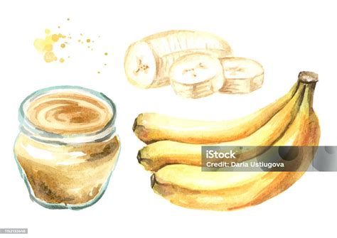 잘 익은 바나나와 슬라이스 한 세트와 바나나 크림 수채화 손으로 그린 그림 흰색 배경에 고립 바나나에 대한 스톡 벡터 아트 및 기타 이미지 Istock