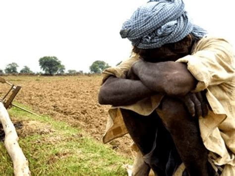 Crops Over 3 Lakh Acres Damaged In Andhra Pradesh
