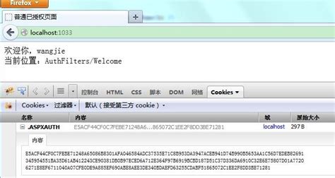 ASP NET MVC Filters 种默认过滤器的使用附示例 oppoic 博客园