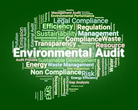 Word Cloud Audit Management Stock Illustrations 647 Word Cloud Audit