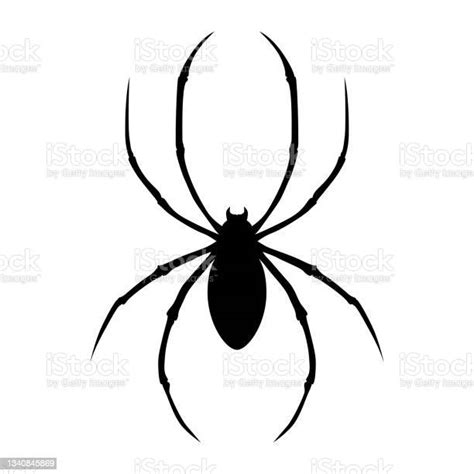 거미의 그림 라벨 기호 엠블럼 포스터용 디자인 요소 벡터 일러스트레이션 거미에 대한 스톡 벡터 아트 및 기타 이미지 거미