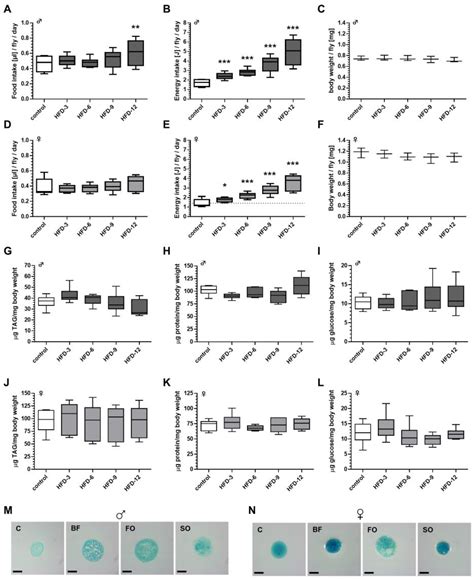 Cells Free Full Text Fat Quality Impacts The Effect Of A High Fat
