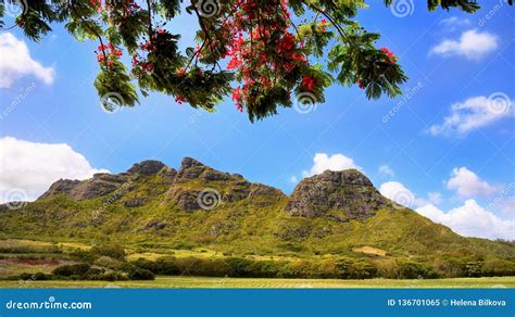 Mauritius Island Mountains Landscape Stock Image Image Of Landscape
