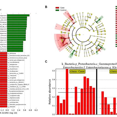 Lefse Analysis Results Of Two Groups A Bar Plot Of The Lda Score Download Scientific Diagram