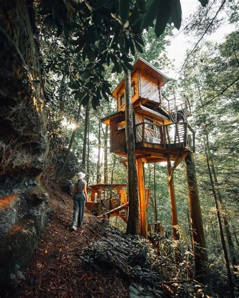 Red River Gorge Treehouse Dome Glamping Adventure