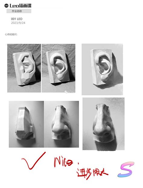 第九课石膏五官