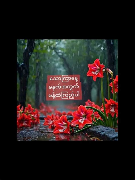 သောကြာမနက် Youtube