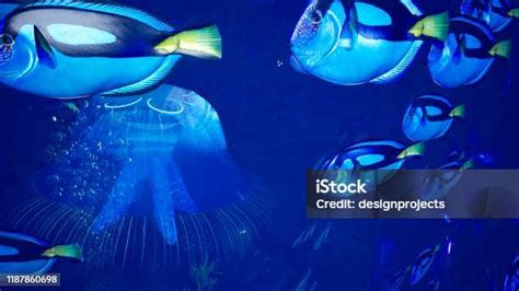 멋진 열대 해양 생물 열대 수중 해양 생물과 열대 아름다운 수중 해양 해양 풍경 녹색 조류와 신비한 해파리 3d 렌더링 3차원 형태에 대한 스톡 사진 및 기타 이미지