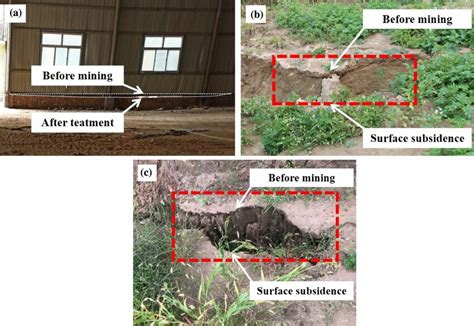 Measured Maps Of Surface Subsidence A Survey Line No 1 B Survey Line Download Scientific