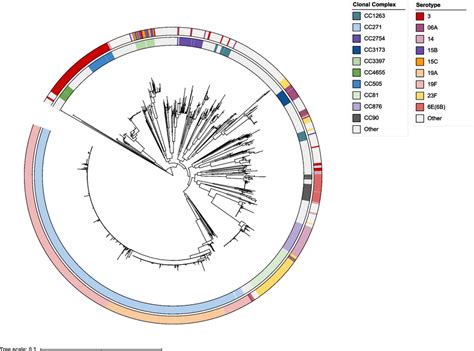 Molecular Typing Results And Maximum Likelihood Tree Of 1312 S Download Scientific Diagram