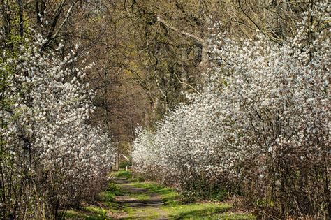 Met Open Oog Rondje Nijenhuis Hier In Salland