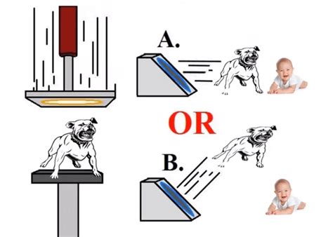 Lets Figure It Out Once And For All A Or B Rdestiny