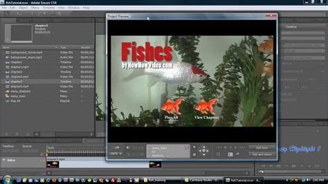 Adobe Encore Advanced Motion Menus YouTube