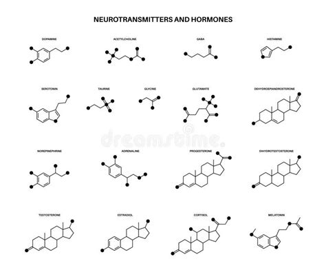 Hormones And Neurotransmitters Stock Vector Illustration Of Serotonin Icon 234291541