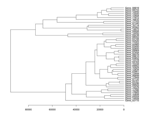 Making A Heatmap In R With The Pheatmap Package Dave Tangs Blog