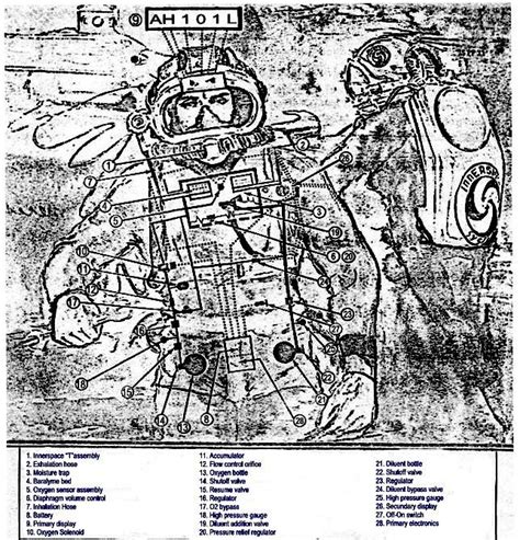 Questions And Answers