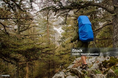 하이킹 배낭과 막대기로 바위에 서있는 비옷을 입은 뒷모습 소녀 건강관리와 의술에 대한 스톡 사진 및 기타 이미지 건강관리와 의술 건강한 생활방식 검은색 Istock