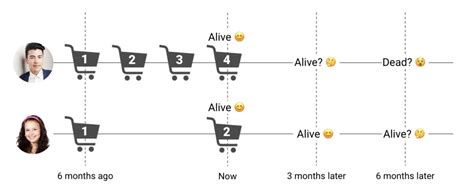 Customer Lifetime Value Prediction With Pymc Marketing Towards Data Science