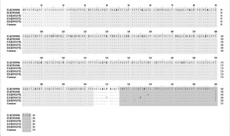 Multiple Sequence Alignment Obtained By Clustalw 12 Of A 364