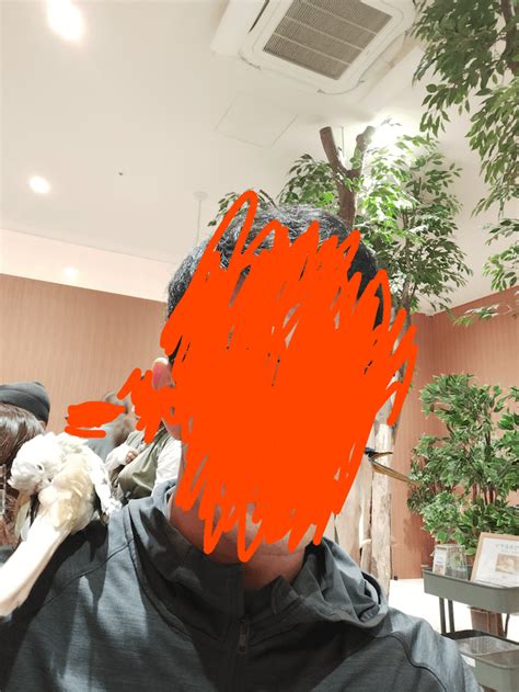 Which Colour Mutation Does This Gcc Have R Conures