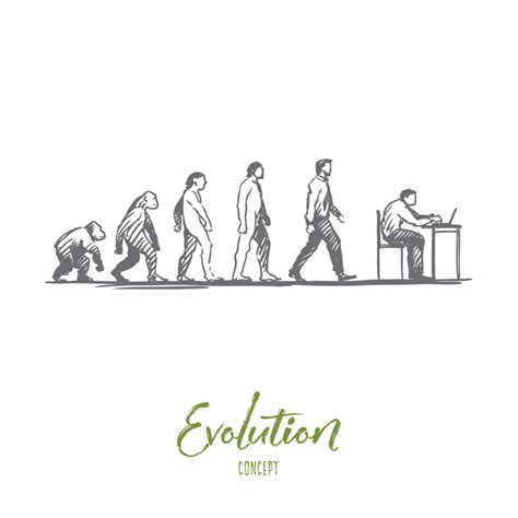 Darwinism Vector Png Images Evolution Businessman Programmer Primitive