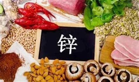 锌是聪明之根孩子常吃4种高锌食物孩子脑子聪明成绩好