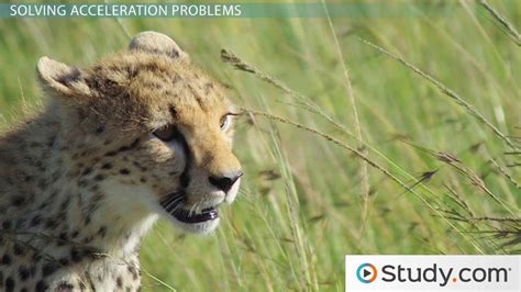 Acceleration Definition Formula Examples Lesson Study Com