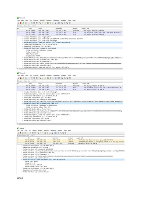 Rtsp With Wireshark Docx