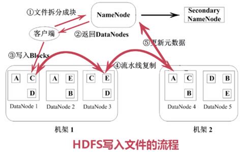 Hdfs文件的读取和写入常用命令 大可耐啊 博客园