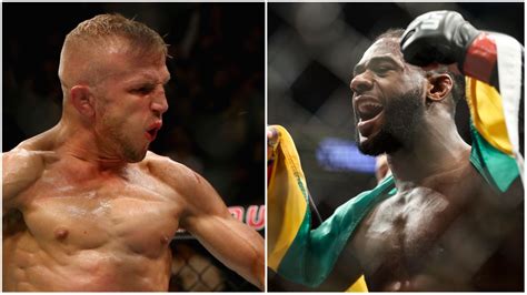 Ufc 280 Tj Dillashaw Believes Aljamain Sterling Is Playing Mental