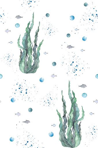 해초 수생 식물 수중 식물 바다 식물 손으로 그림을 그리는 식물 수채화 무늬 천연 유기농 제품 화장품 전단지 포스터 소셜 미디어 그래픽을 위한 디자인 요소 0명에 대한 스톡