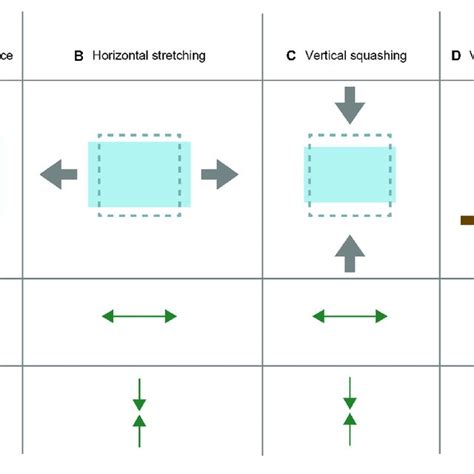Schematic Explanation Of The Two Dimensional Poisson Effect A A Download Scientific