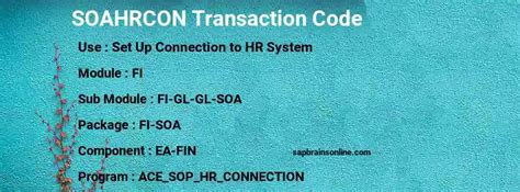 Soahrcon Sap Tcode For Set Up Connection To Hr System