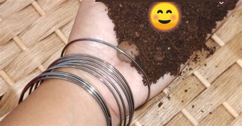 Quick Guide To Composting Methods🍂🍁🪴