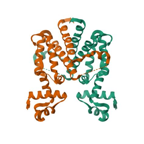 Rcsb Pdb 2xgc Crystal Structure Of A Designed Heterodimeric Variant T A I B Of The