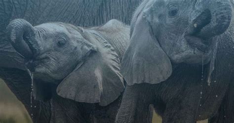 How To Add A Gradient Overlay To A Background Image Using Just Css And