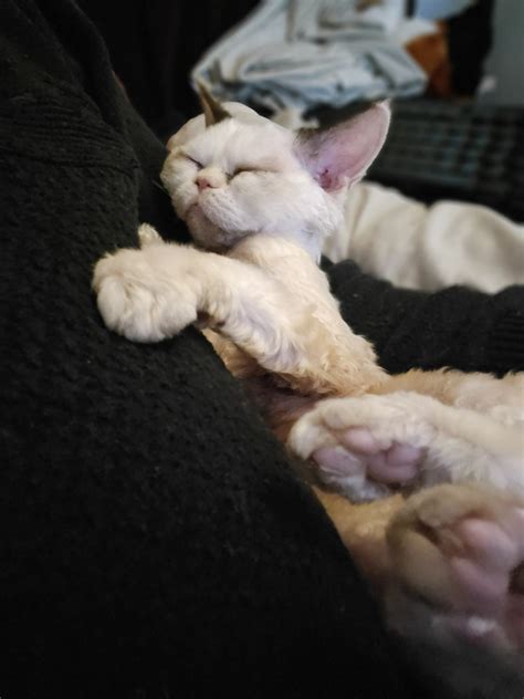 Realized I Never Posted This Pic Of Her So Here It Goes This Is Cindy