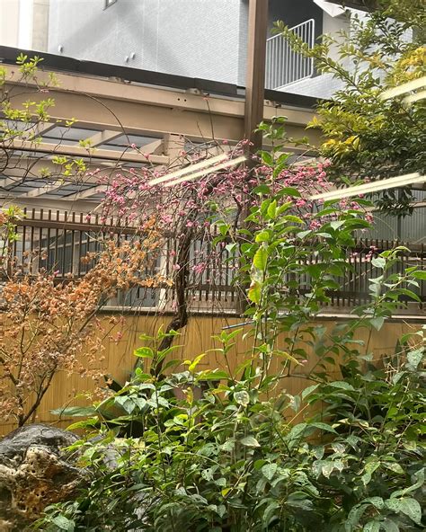 矢吹炉研 【矢吹炉研のご紹介】 ホームページを見てもらえれば詳しく載っていますが、簡単にご紹介♪ 会社の所在地や仕事内容😉 どんな人が働いてるのかも書きました😁 興味を持っていただいたら