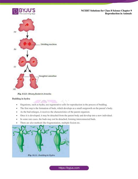 Ncert Solutions For Class 8 Science Chapter 9 Reproduction In Animals
