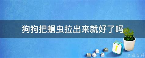 狗狗把蛔虫拉出来就好了吗 业百科