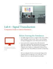 Lab 6 Signal Transduction Companion Guide Pdf Labster Companion Guide Signal Transuction Lab