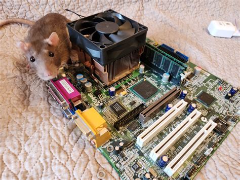 Cpu Overheating Problem TechPowerUp Forums