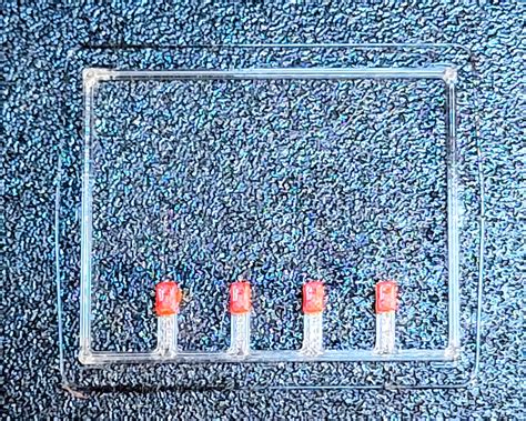 Openhasp Touchscreen Tactile Switches By 3dprintmd Download Free Stl Model