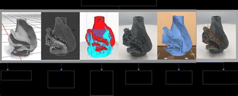 Snapshots From Different Stages Of The Pipeline Download Scientific Diagram
