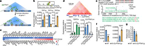 err is a potentially common paradigm underlying oncogene activation a